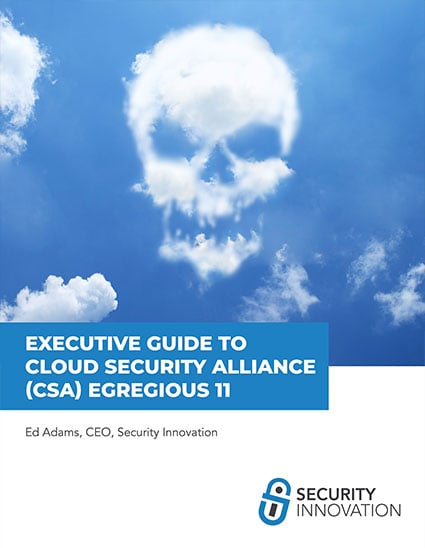 Executive Guide to the Cloud Security Alliance Egregious 11